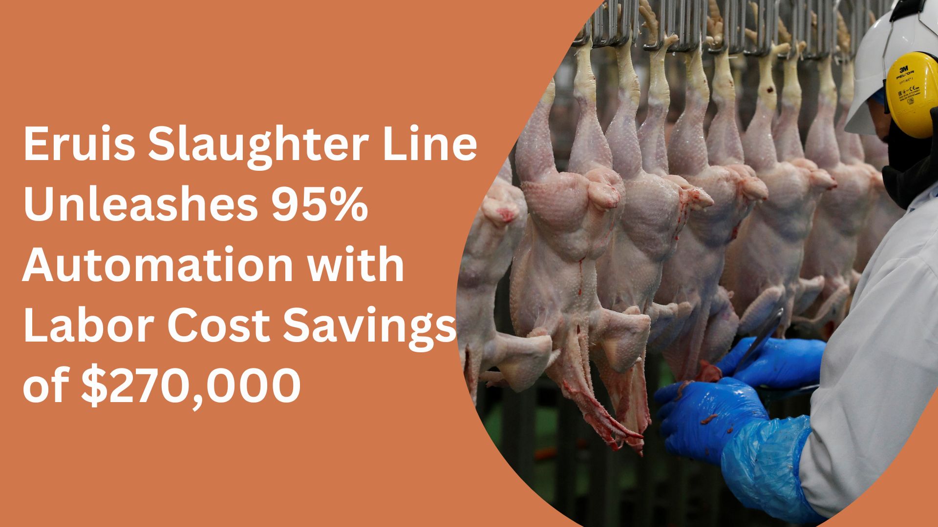 Custom Slaughterhouse Equipment Manufacturer In China | Eruis