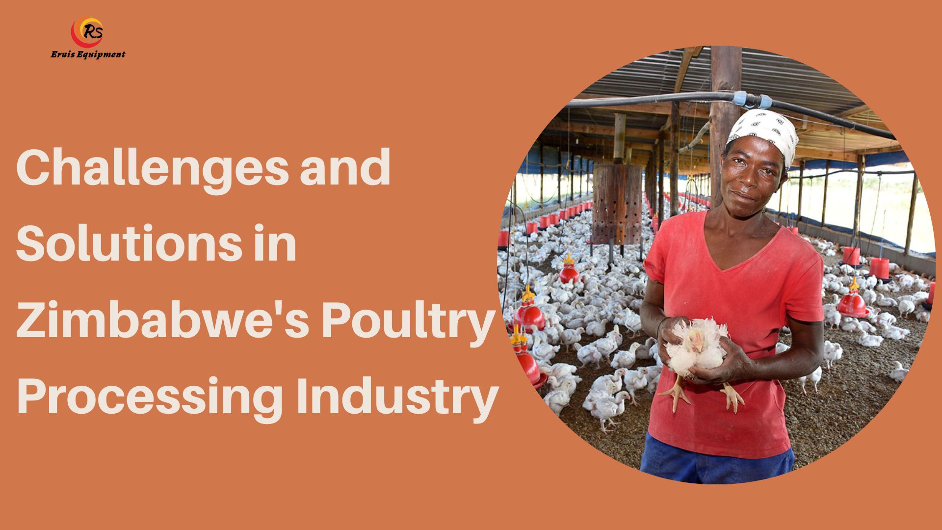 Challenges and Solutions in Zimbabwe's Poultry Processing Industry | Eruis