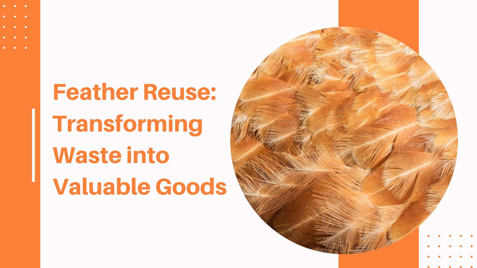 Feather Reuse: Transforming Waste into Valuable Goods | Eruis