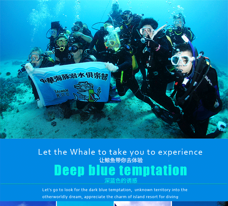 Precision Dive Mask & Fins: Wholesale Scuba Gear