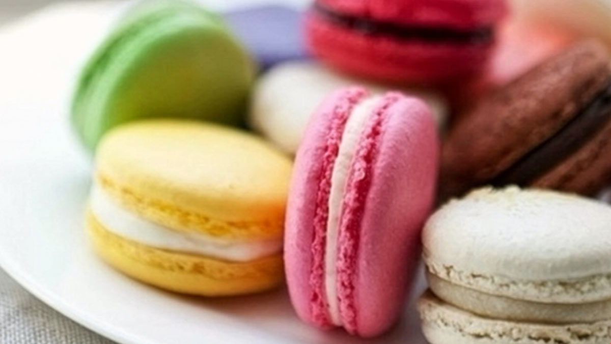 Macaroon Filling and Capping Maker machine | Yinrich