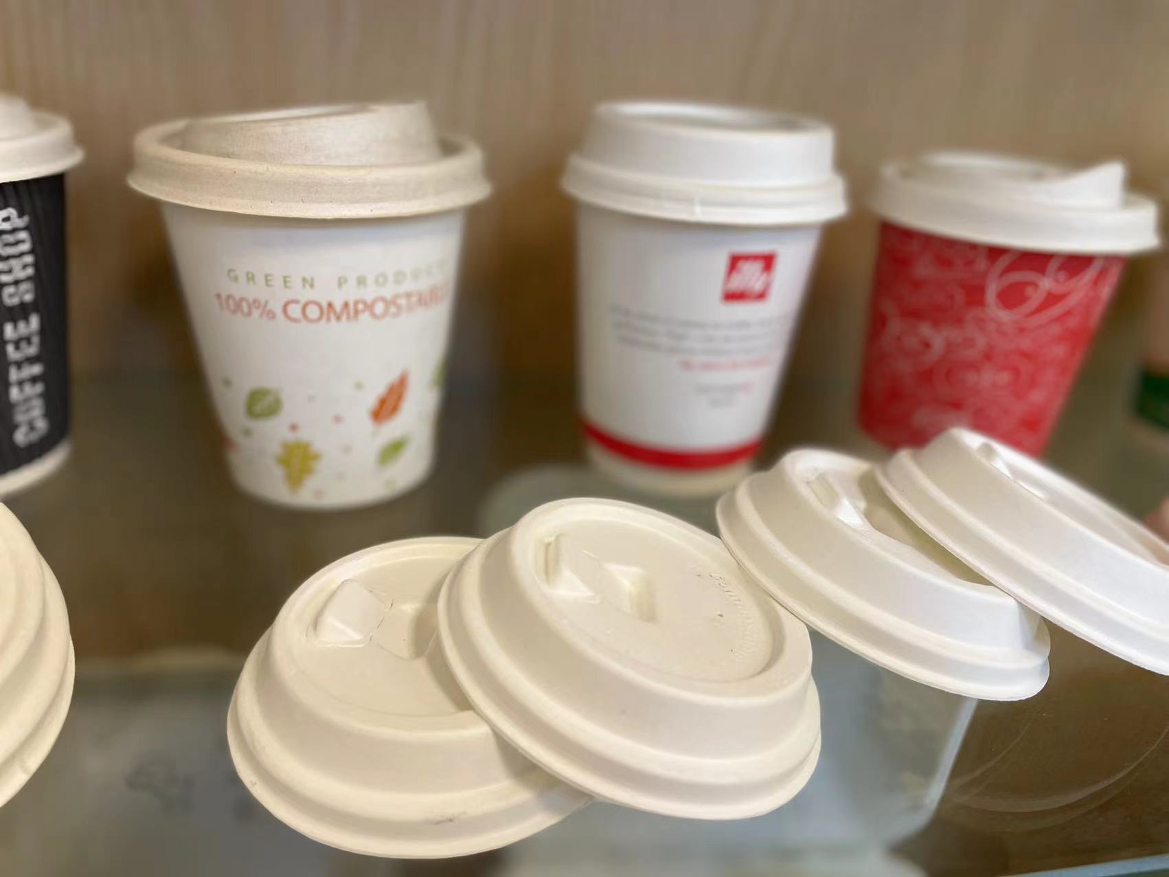 Far East Pulp Molded Food Packaging Production Line for Cup Lid!