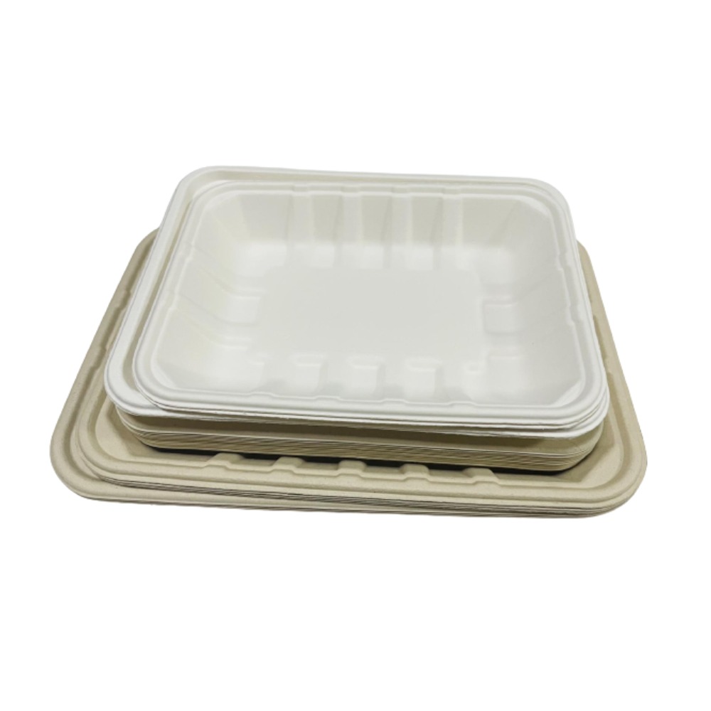 7" x 5" Bagasse Tray Disposable Composable Sugarcane Pulp Tray | GeoTegrity