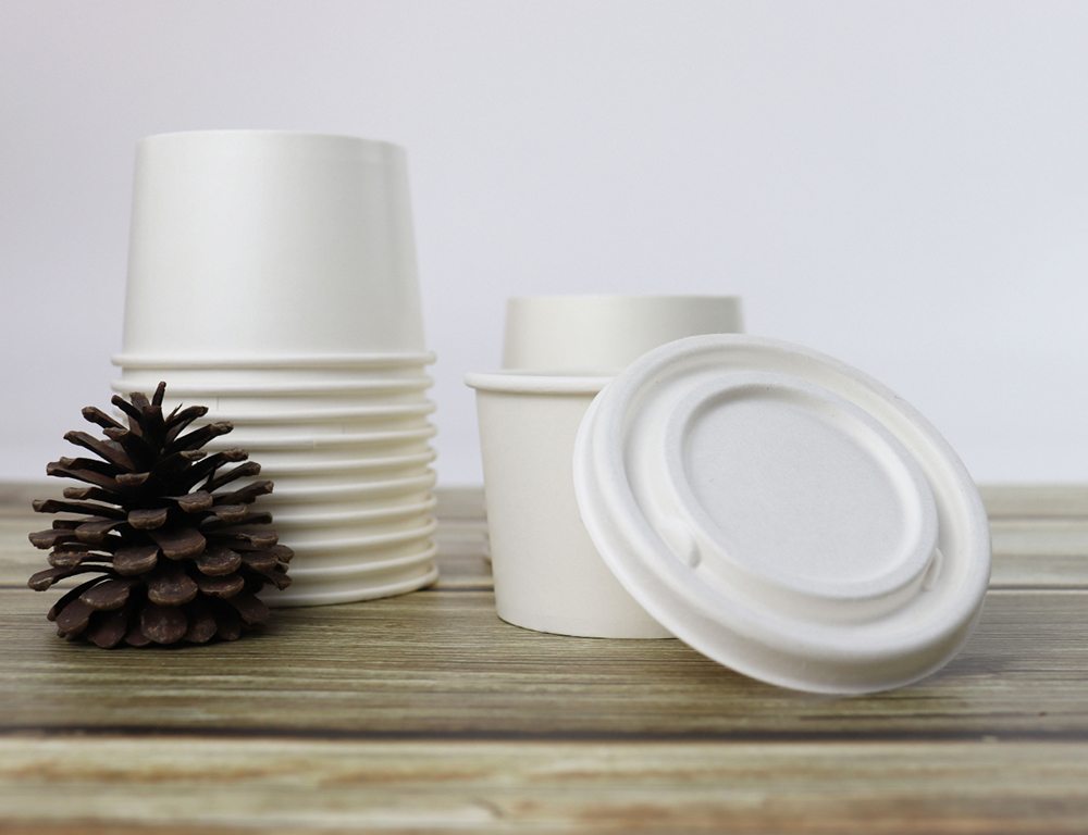 Introducing Our New Bagasse Pulp Lid - Your Eco-Friendly Solution ...