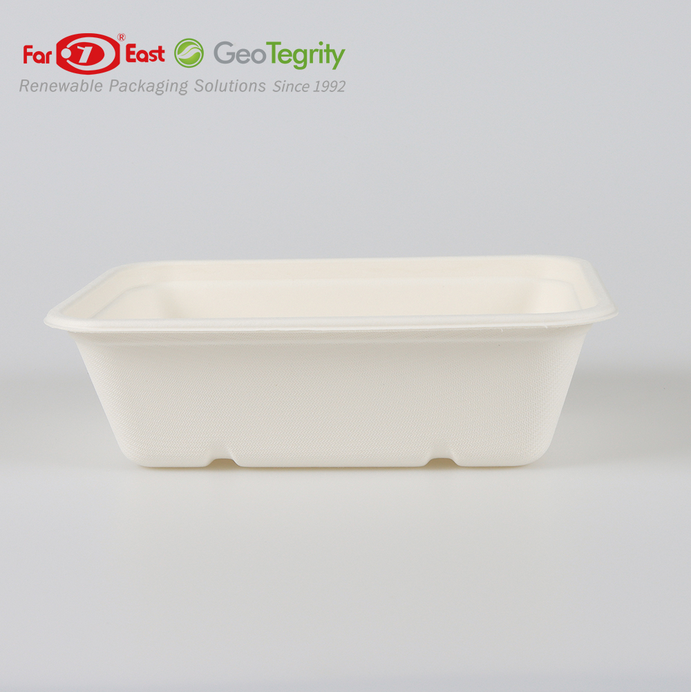Rectangular Sugarcane Pulp Boxes - Biodegradable Take Out Option ...