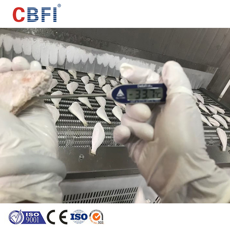 Stainless Steel Tunnel Freezer for Food Processing Industry