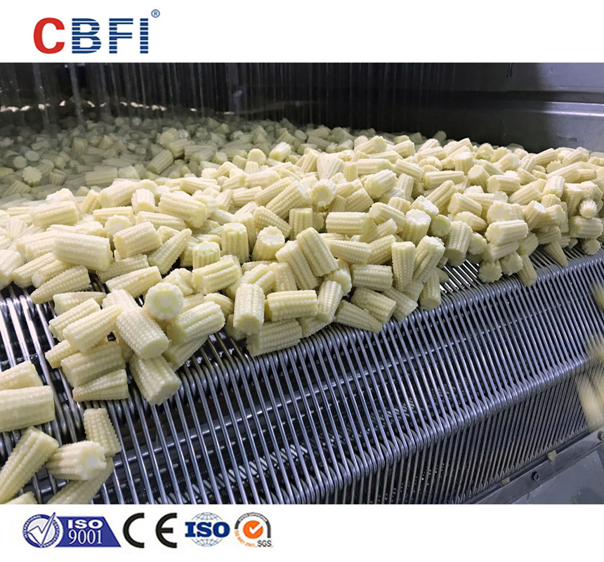 Will Food Safety And Efficiency Shape The Future Of The IQF Industry ...