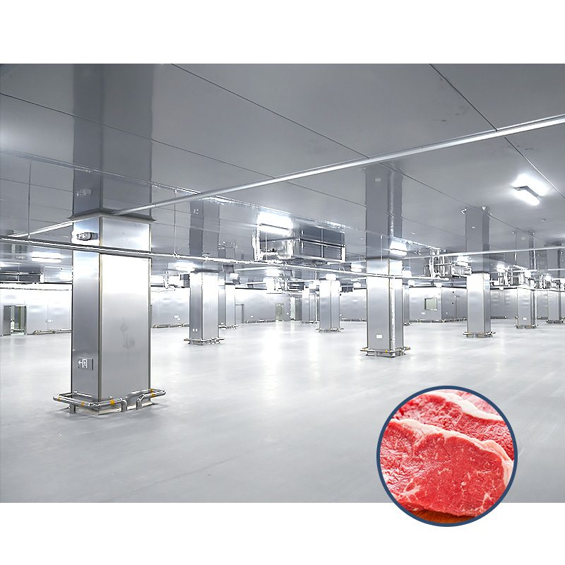 High-quality Fish And Meat Cold Room | Cbfi Vcr Series Freezer Room