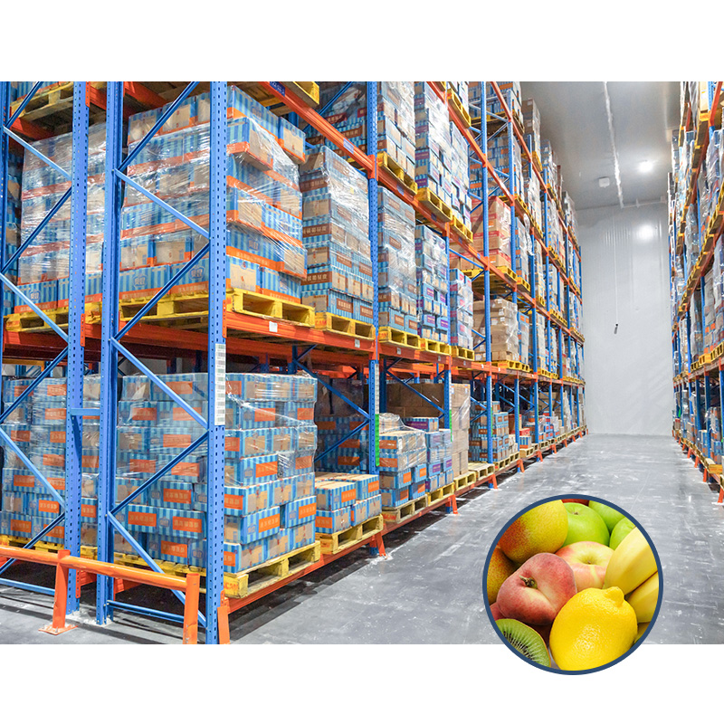 Best Cold Room For Fruit And Vegetable Cbfi Vcr Series Cold Room