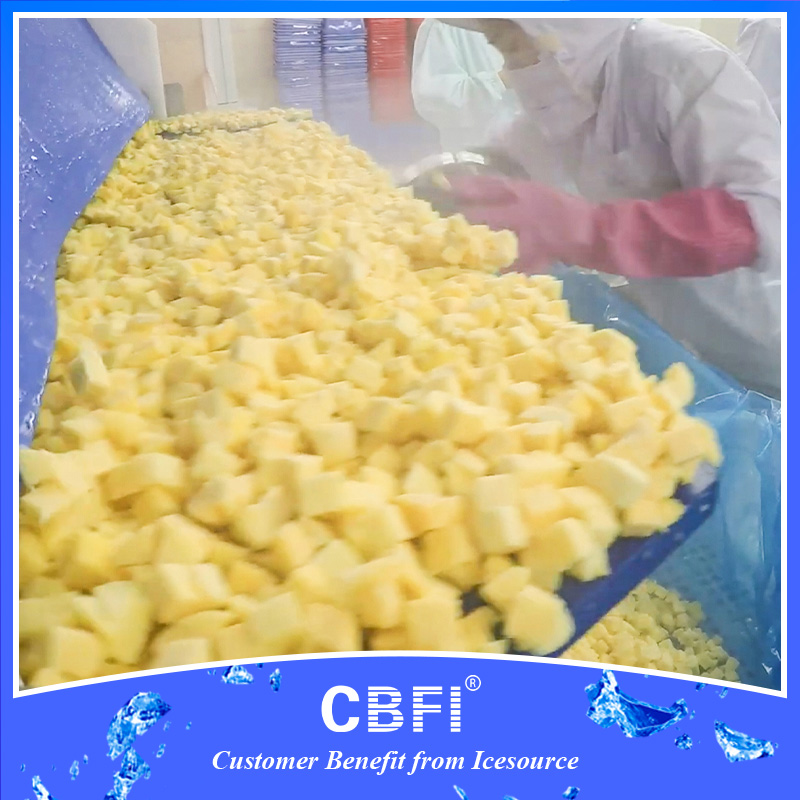 CBFI® IQF Solution for Fruit and Vegetable | CBFI