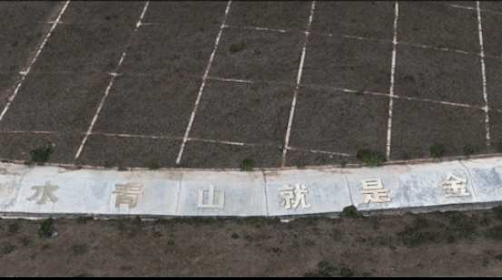 Self-Developed and Upgraded, Newly Released | D-OP5000 Tilt Photography ...