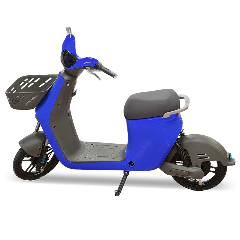 Hydro SmartMoto C80 Hydrogen-Powered Electric Bike - Fuel Cell, Eco ...