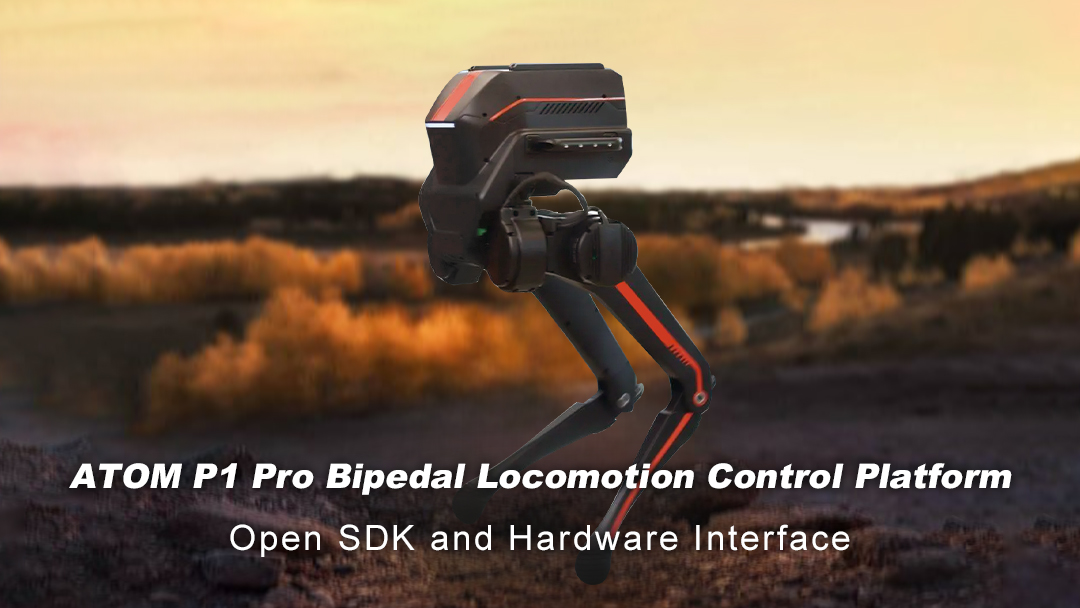 Bionic Robots | Advanced Humanoid & Bio-Inspired Robotics – Foxtech ...