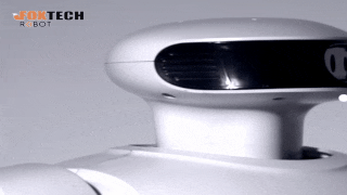 6-Axis Collaborative Robot Arm | FOXTECH ROBOT