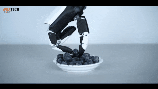 Biohand RH56DFTP Dexterous Hand-Intelligent Bionic Hand with Tactile ...