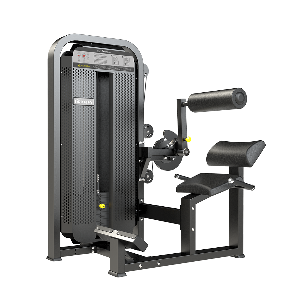 GANAS Gym Equipment Back extension Machine MG-6719 | Ganas