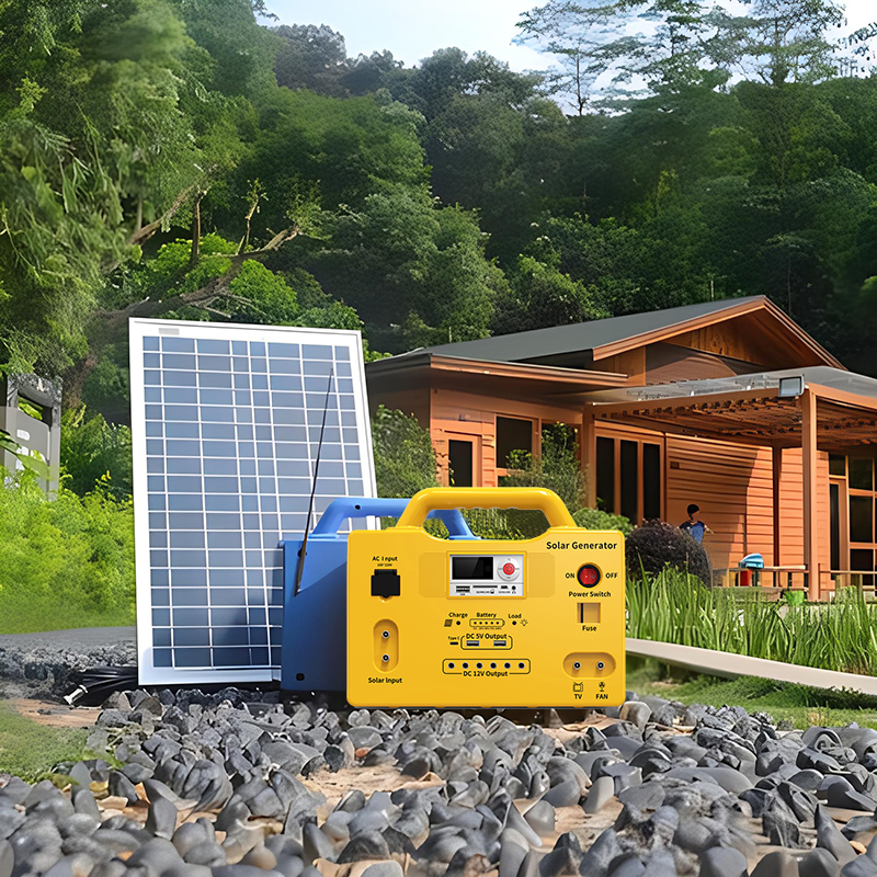 50W solar lighting system with FM radio MP3 and 6 LED Bulbs Supplier ...