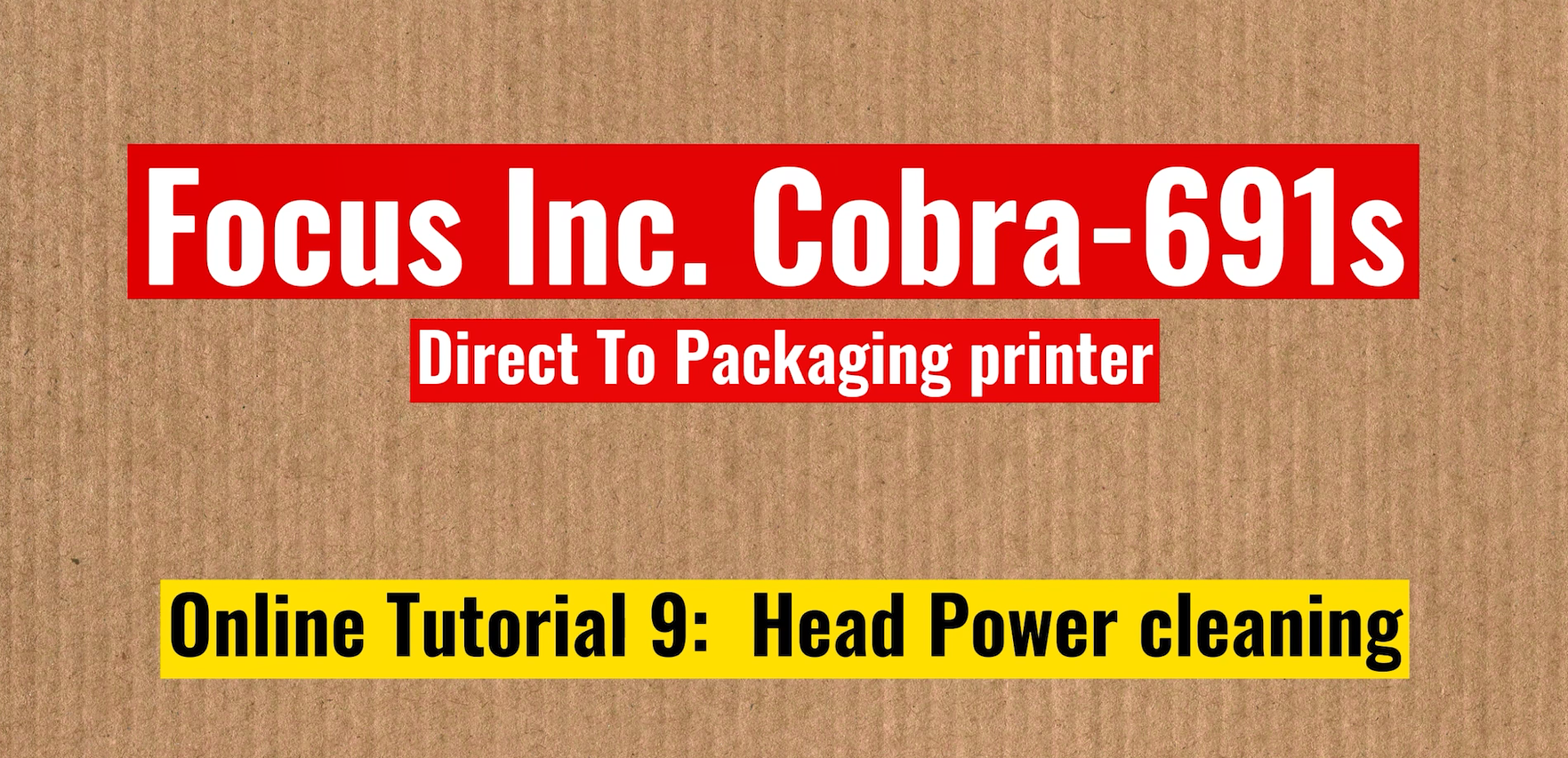 Focus Cobra-69s Single pass direct to packaging corrugated cardbard ...
