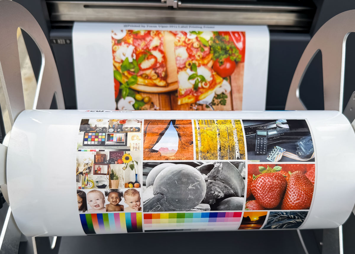 Focus Viper 391s Full color label printer printing with barcode Mini ...