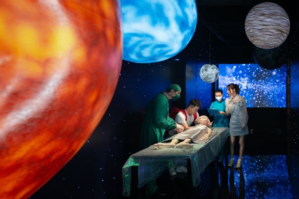 Wax Museum Project, Wax Figure Manufacturer | DXDF