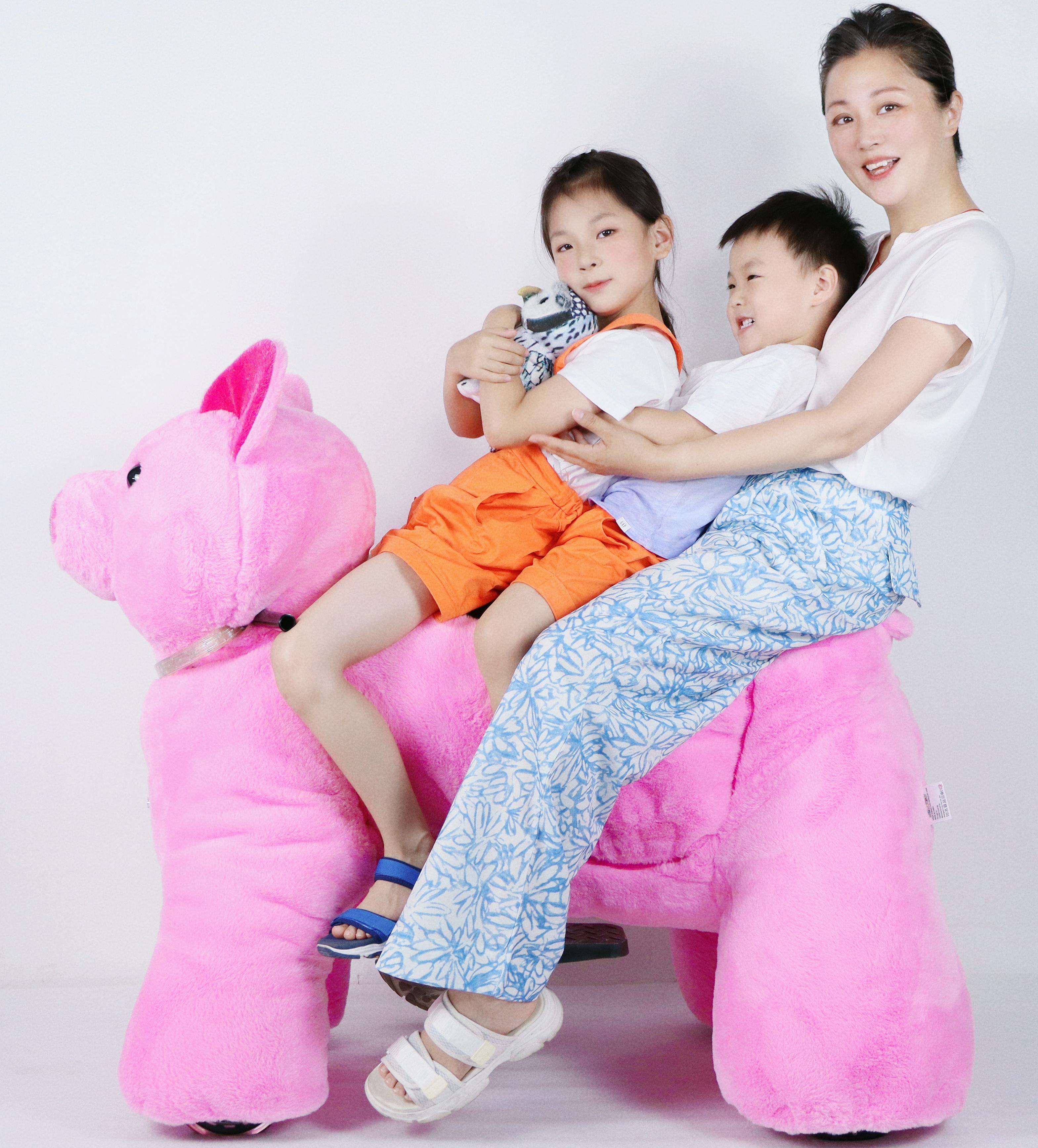 China electric animal ride Rechargeable electric 6V plush animal kiddie ...
