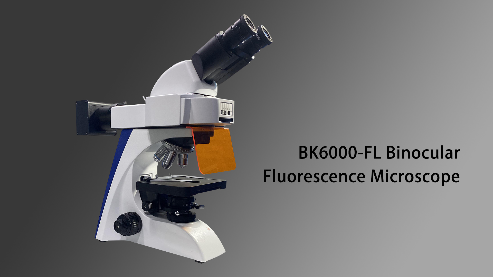 Binocular Fluorescence Microscope BK6000-FL Model Chongqing Scope