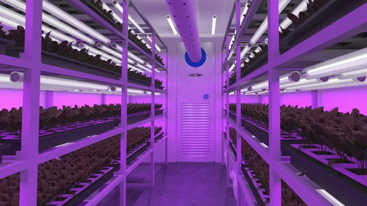 Commercial Vertical Farming Systems & Solutions Companies - OptiClimate