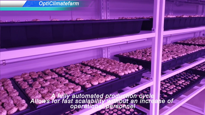 Solar Indoor Vertical Saffron Farm