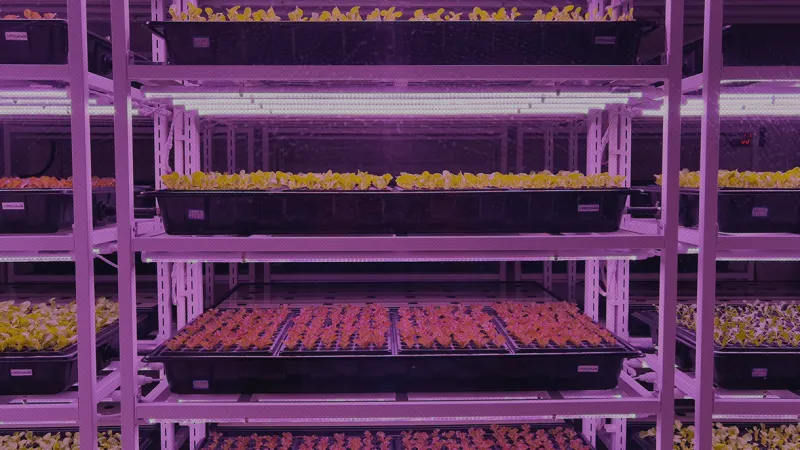 Commercial Vertical Farming Systems & Equipment Suppliers- OptiClimate