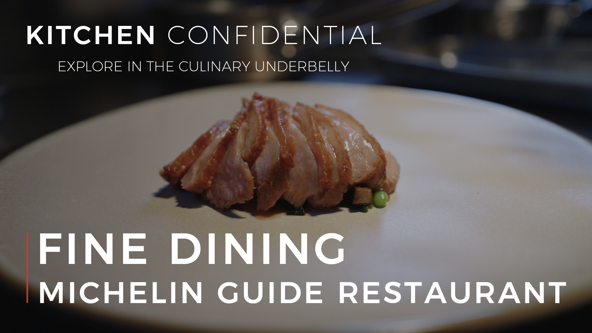 Best Commercial Kitchen Equipment Solutions Suppliers | Shinelong