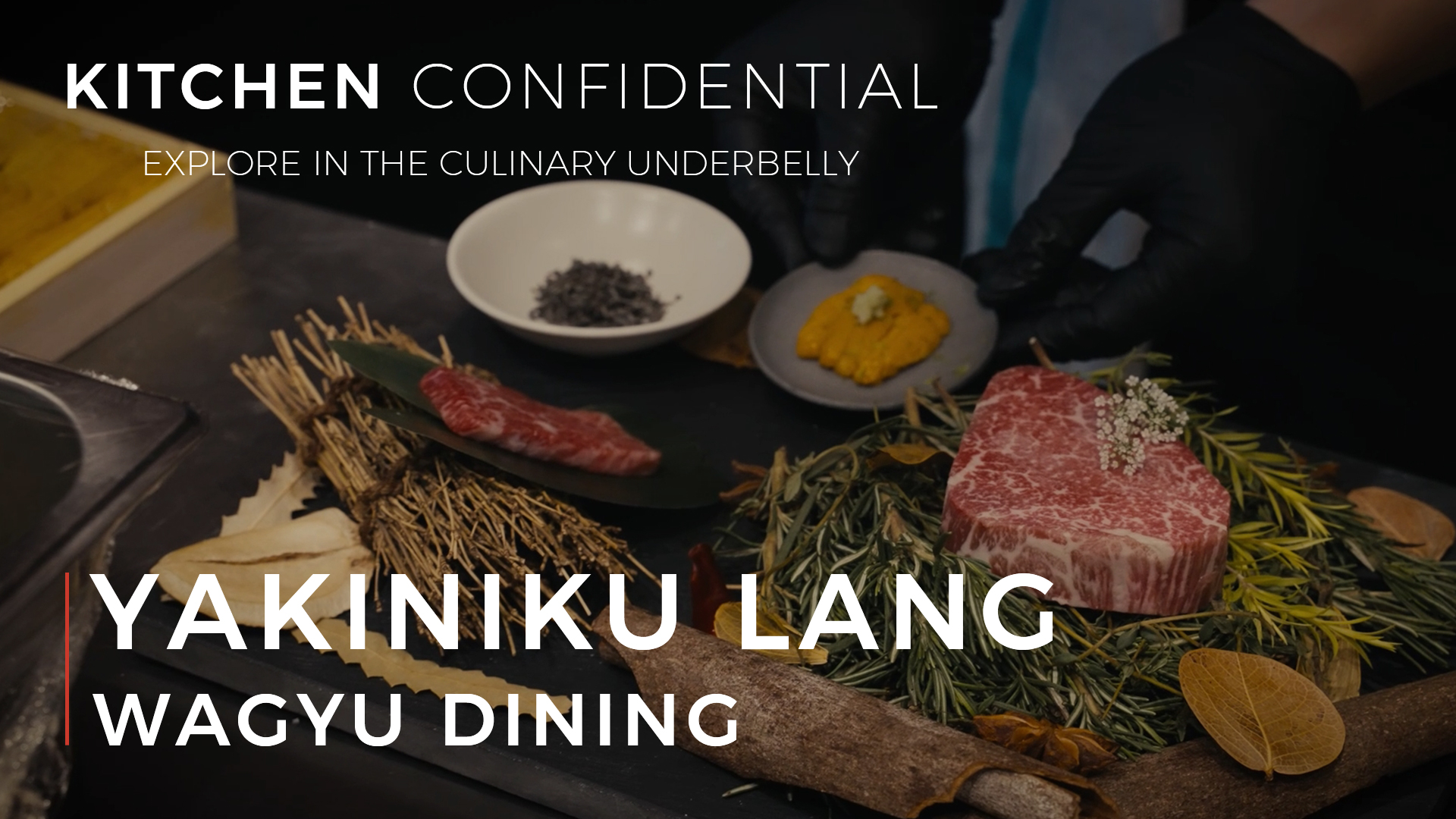 Best Commercial Kitchen Equipment Solutions Suppliers | Shinelong