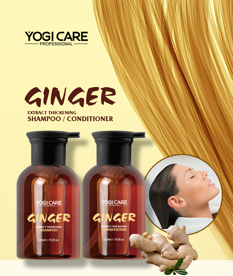 New arrival 250ml anti-hair loss moisturizing organic ginger shampoo ...