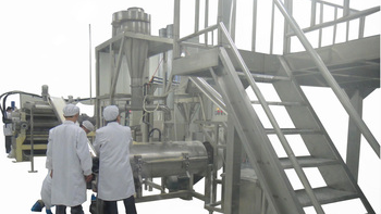 HG INDUSTRY GROUP - HG Pringles Potato Chips Complete Line / potato ...