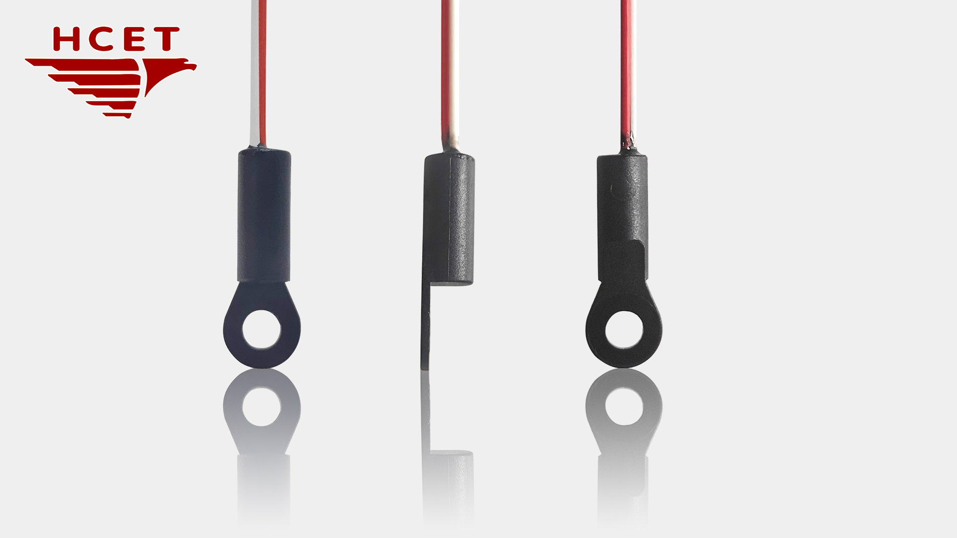 HCET Custom Platinum Resistance Thermometer PT1000 RTD Temperature ...