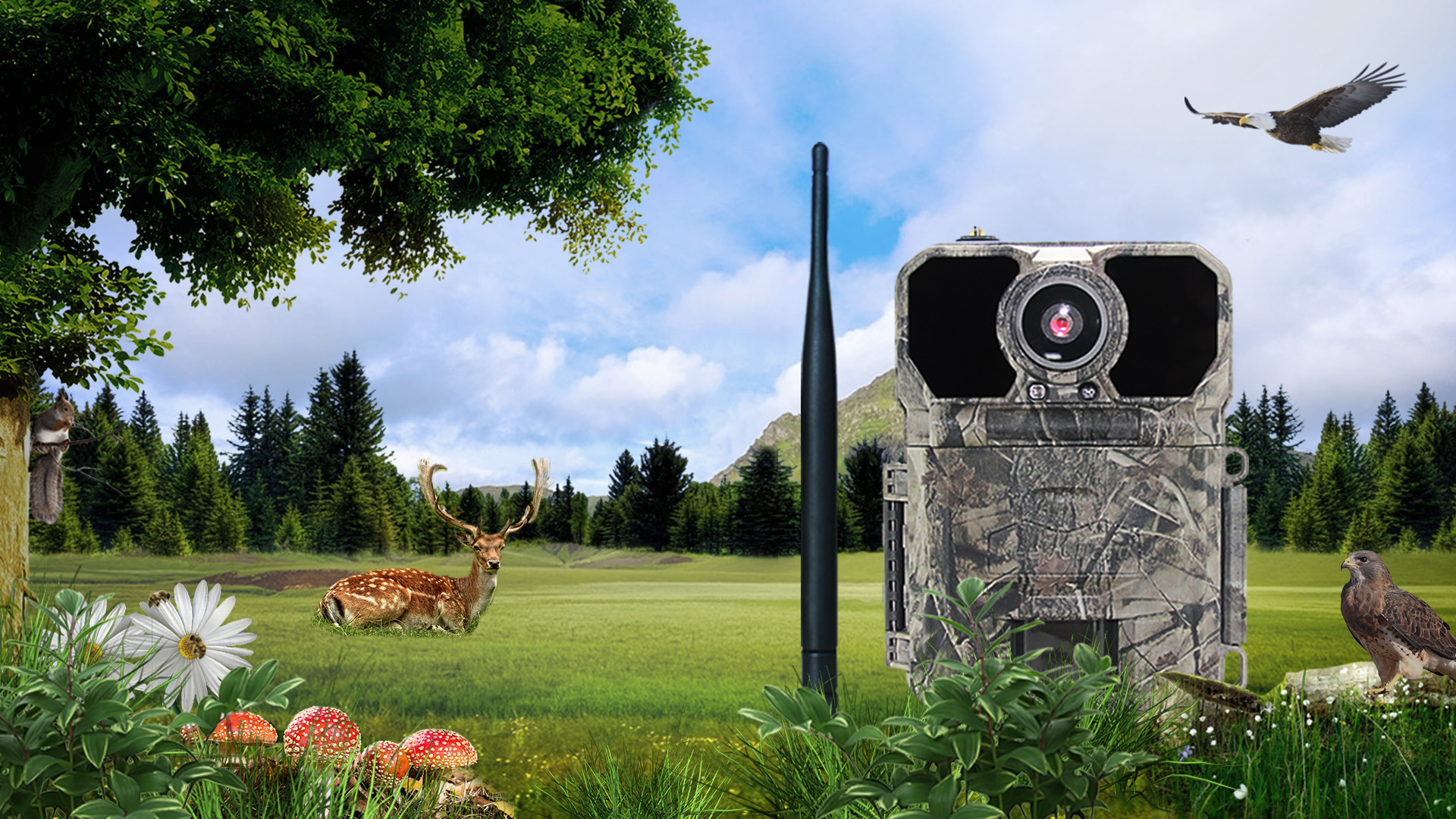 Keeptime cellular 4g wildkamera for hunting forest security camera with APP