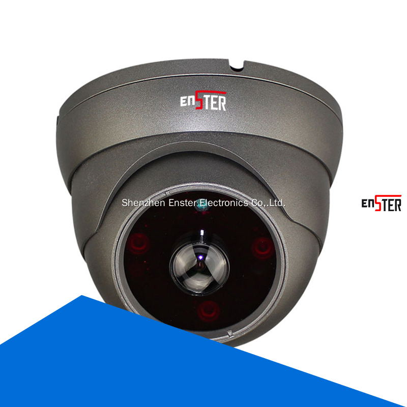 ENSTER | Professional panoramic film camera wholesale