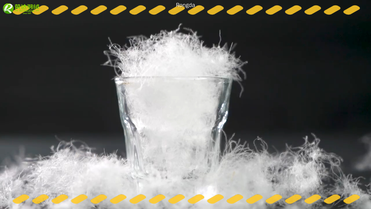 Rongda | New goose down suppliers