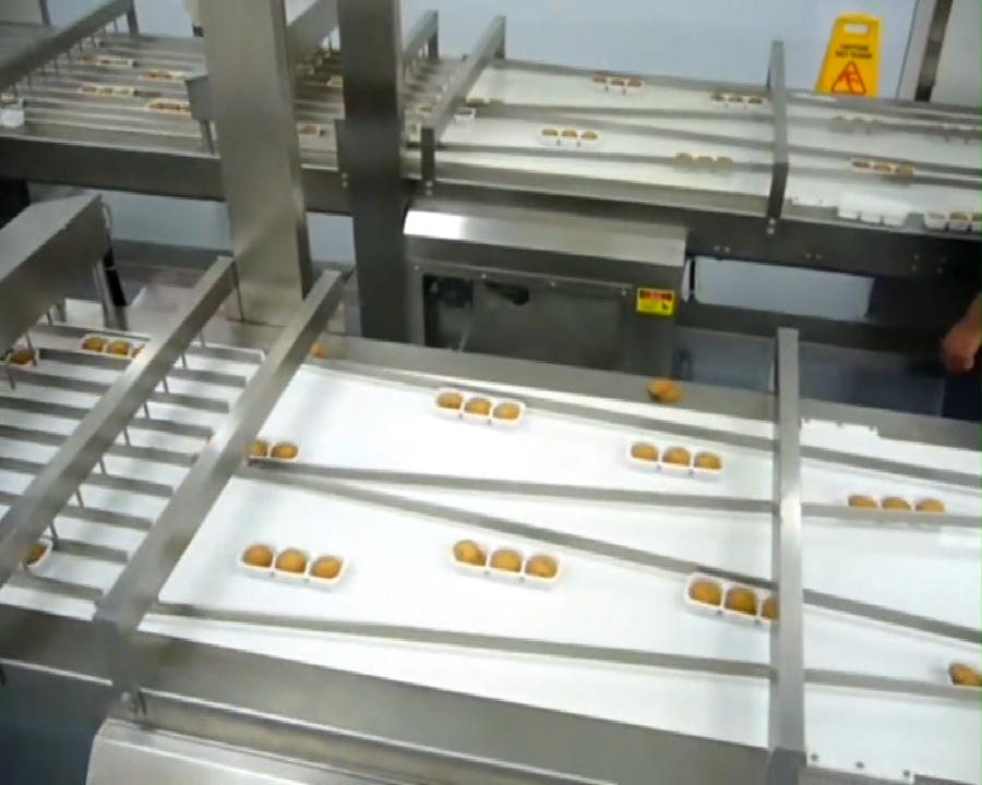 High Quality Customized Automatic Tray Loader For Biscuit On Flat ...
