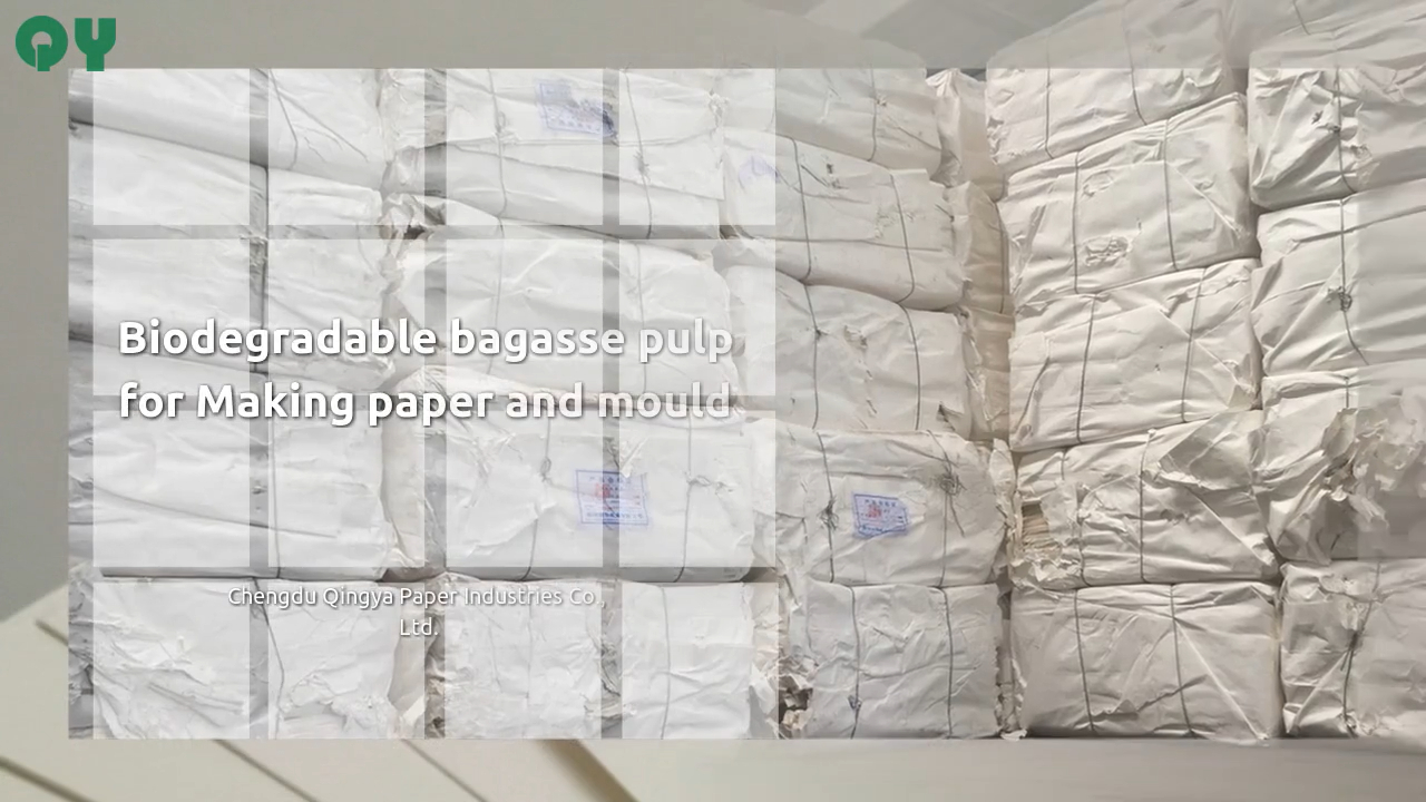 Best Biodegradable Molding Pulp Bleached Bagasse Sugarcane Pulp for ...