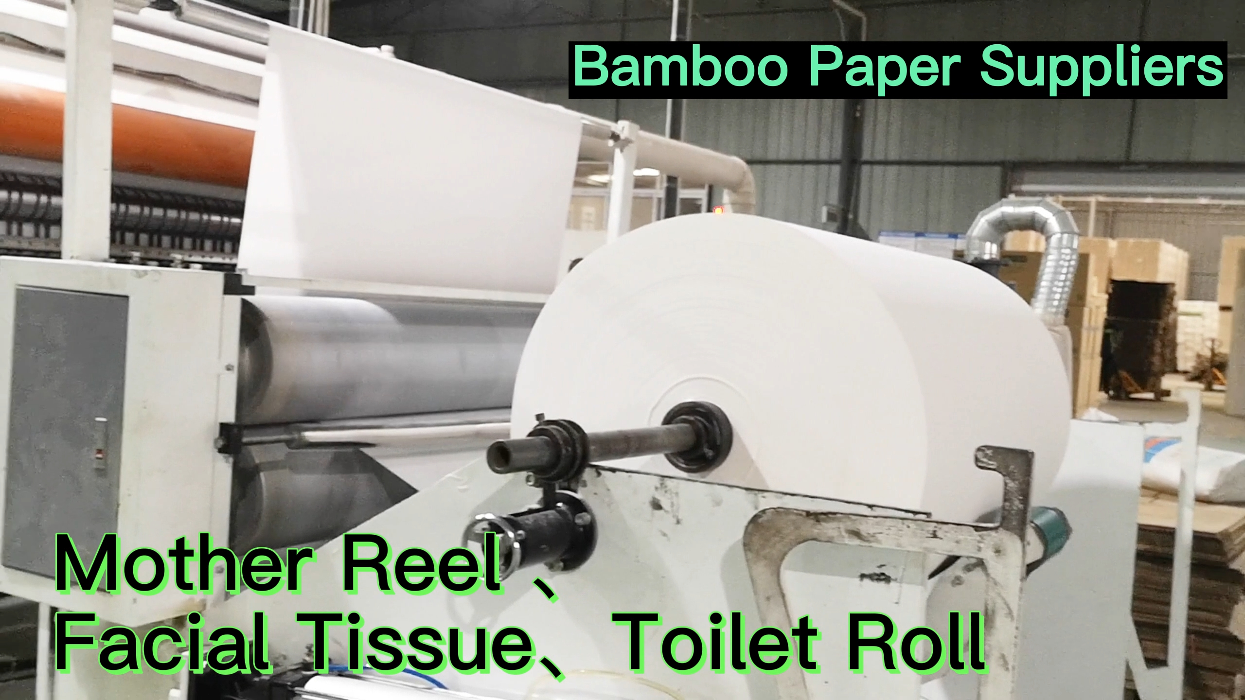 【Jumbo Roll】Virgin Bamboo Parent Paper Rolls Jumbo Rolls | Qingya Paper