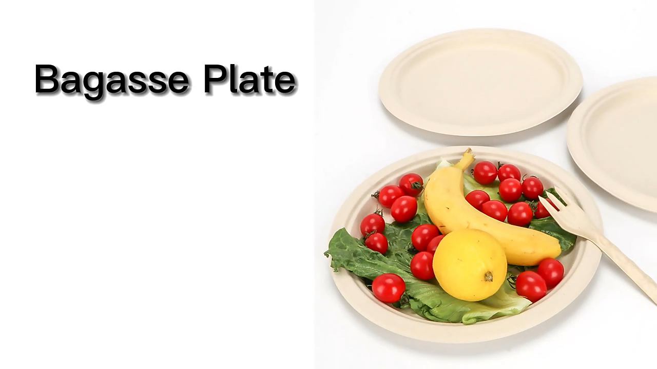 Say Goodbye to Plastic, Embrace Sugarcane Pulp Plates: The Eco-Friendly ...