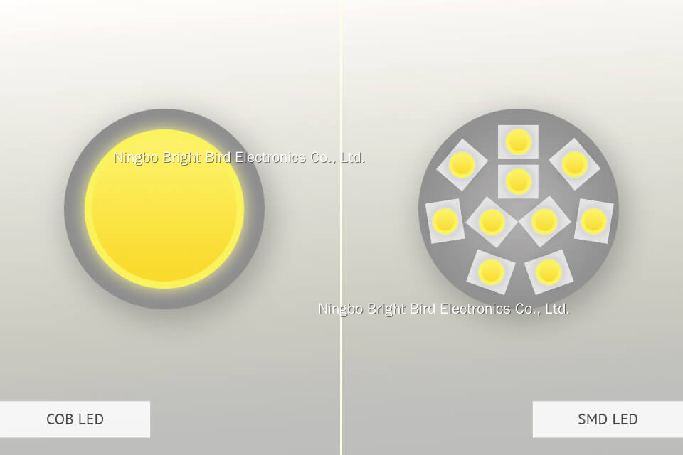 Illuminating the Differences of COB & SMD | Bright Bird | Bright Bird